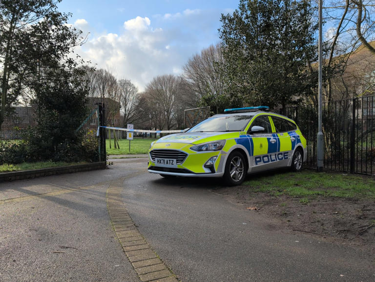 Investigation update after police arrest eight teenage boys in ...