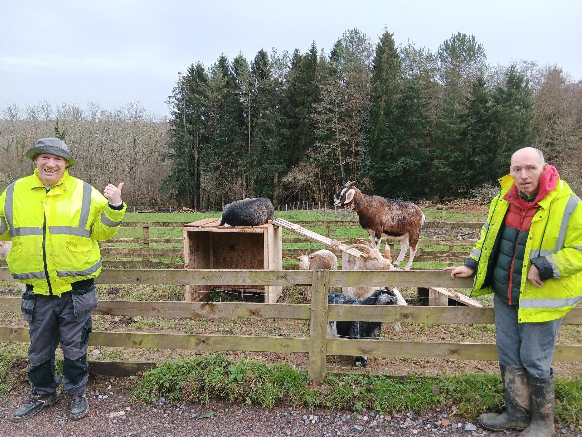 Care farm and community instructor opportunity at Duckyls Farm