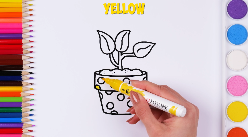 Coloring in a plant and learning color names