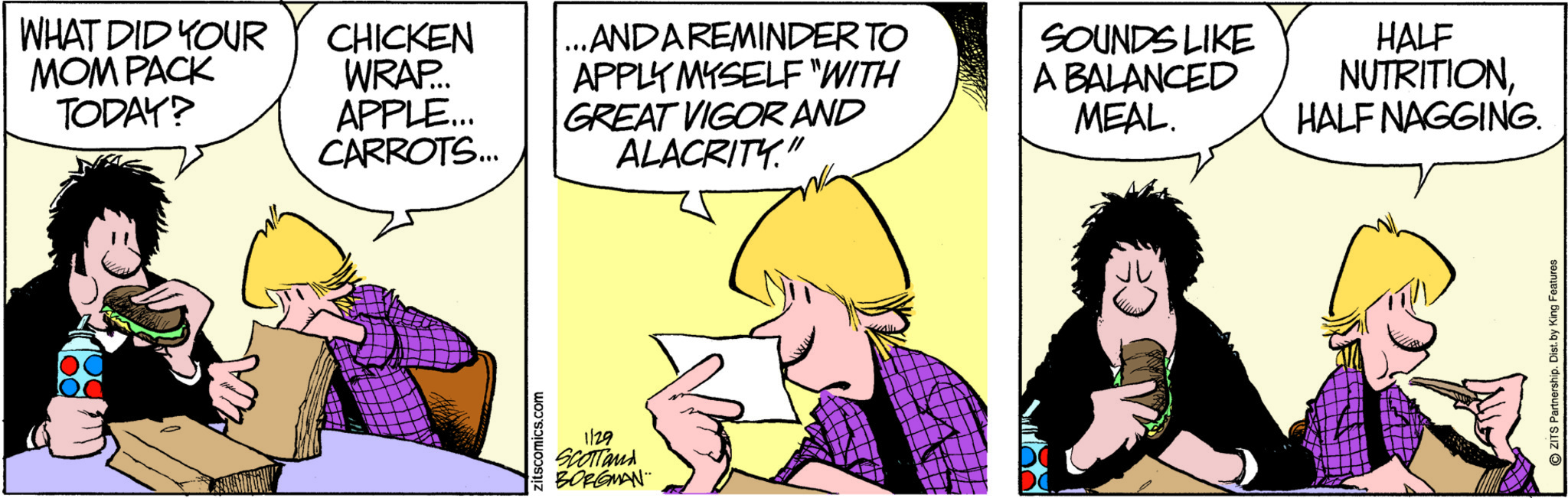 Zits by Jerry Scott and Jim Borgman
