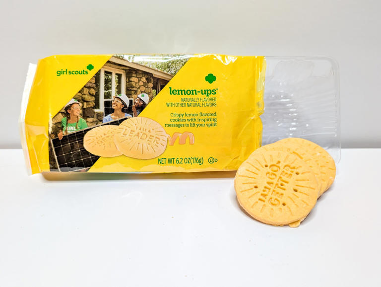 Every Girl Scout cookie, ranked worst to best for 2026