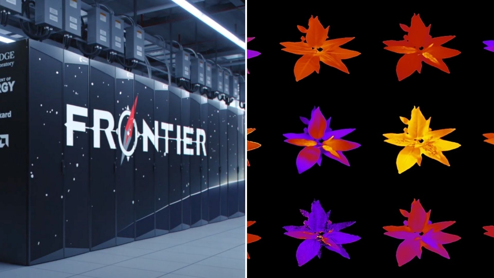 World’s first exascale supercomputer speeds plant science with new AI ...