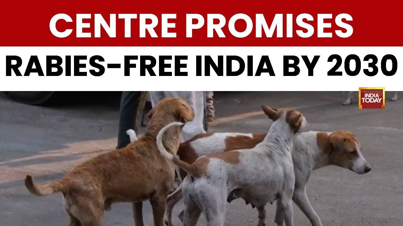 Centre promises Supreme Court to eliminate rabies from dog bites by 2030