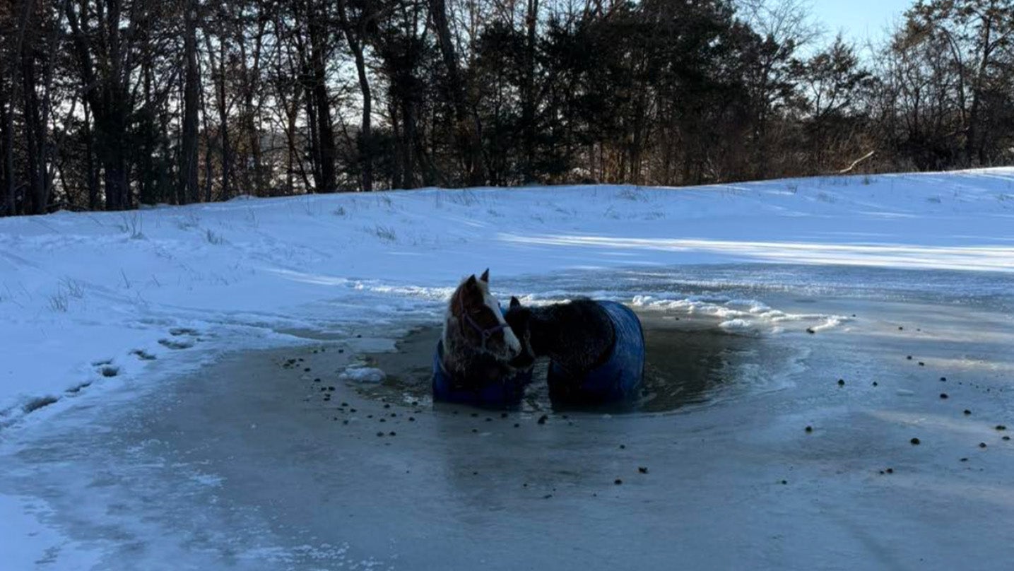 Missouri fire crew pulls two horses from icy pond after cold snap