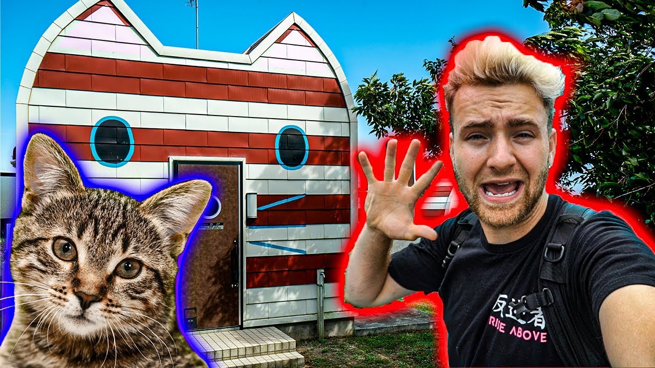 Exploring Cat Island - Houses shaped as cats AMAZING * cat lovers' dream