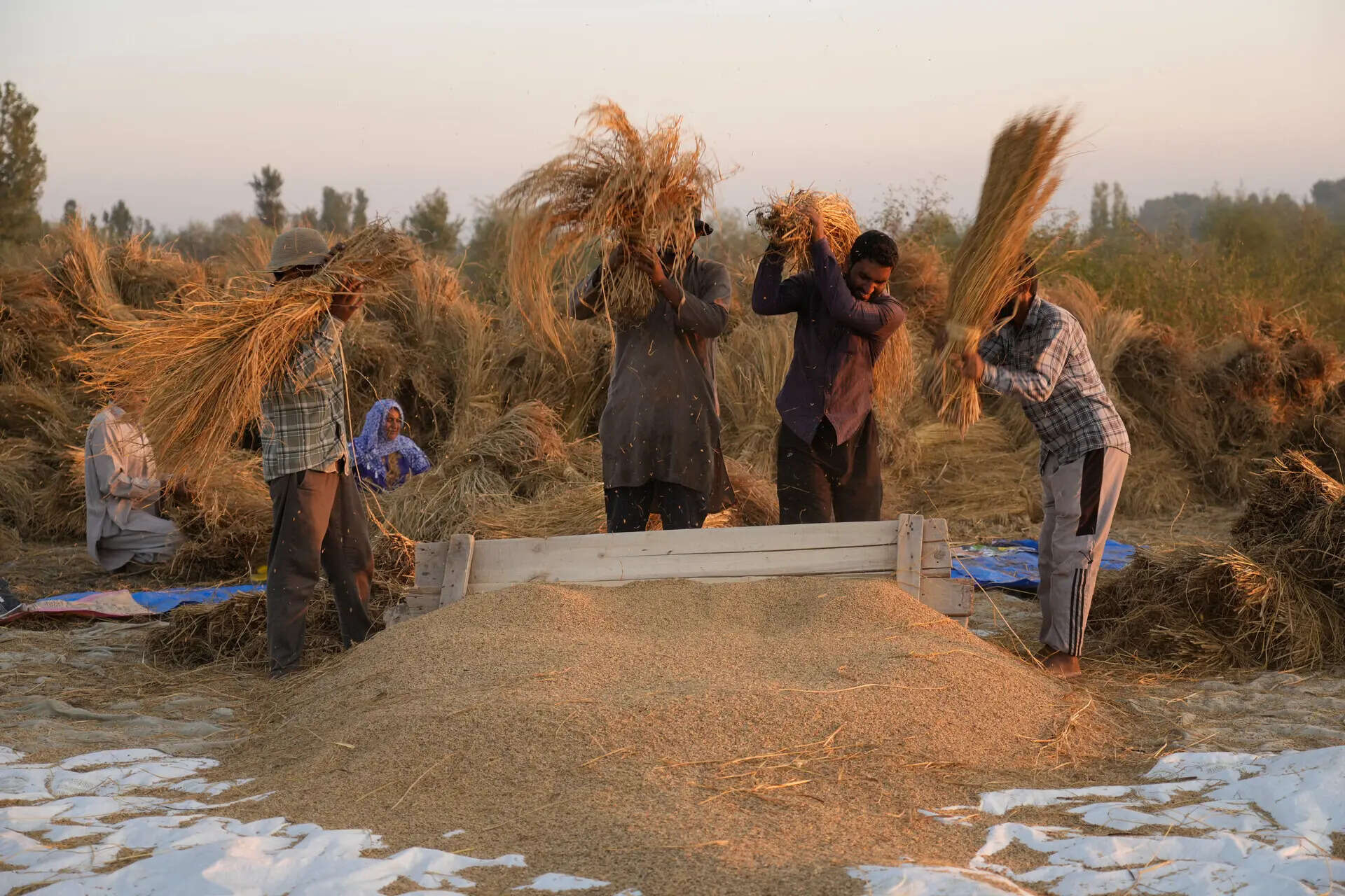 India needs stable agri-export policy to achieve $100 billion goal ...