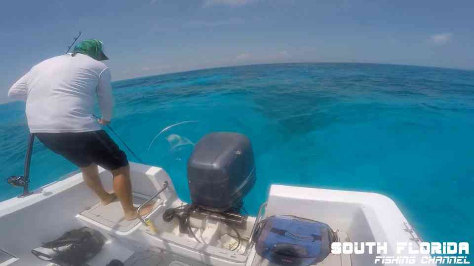 Using a Bally Hoop net offshore in Key Largo