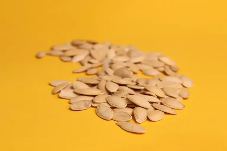 5 vacation souvenirs that are technically illegal to bring back home