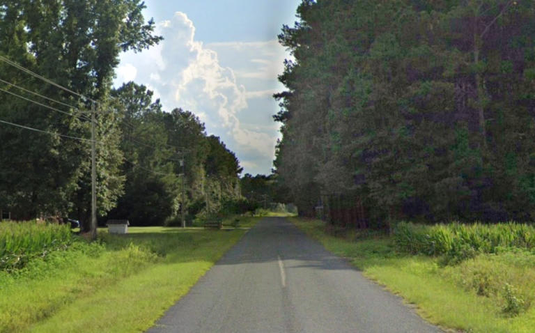 South Carolina woman Dana Kinlaw fatally shot, set on fire after she ...