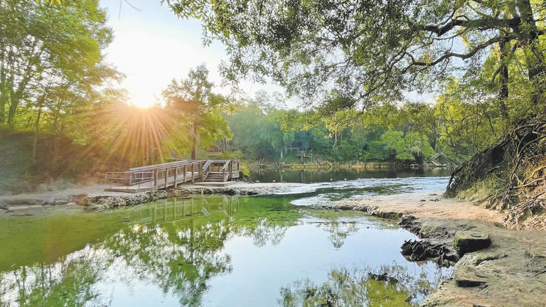 Does Florida have too many dairy cows in the wrong places? | Column