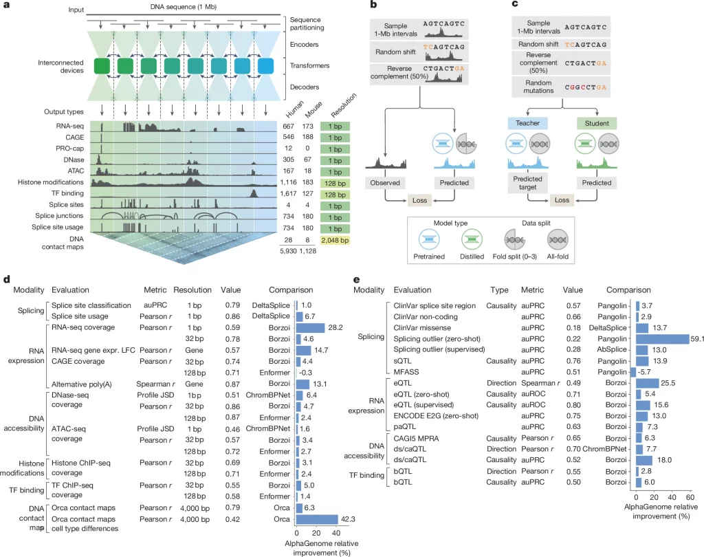 AlphaGenome explained: How Google DeepMind is using AI to rewrite ...