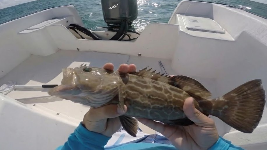 Patch reef fishing in the Florida Keys