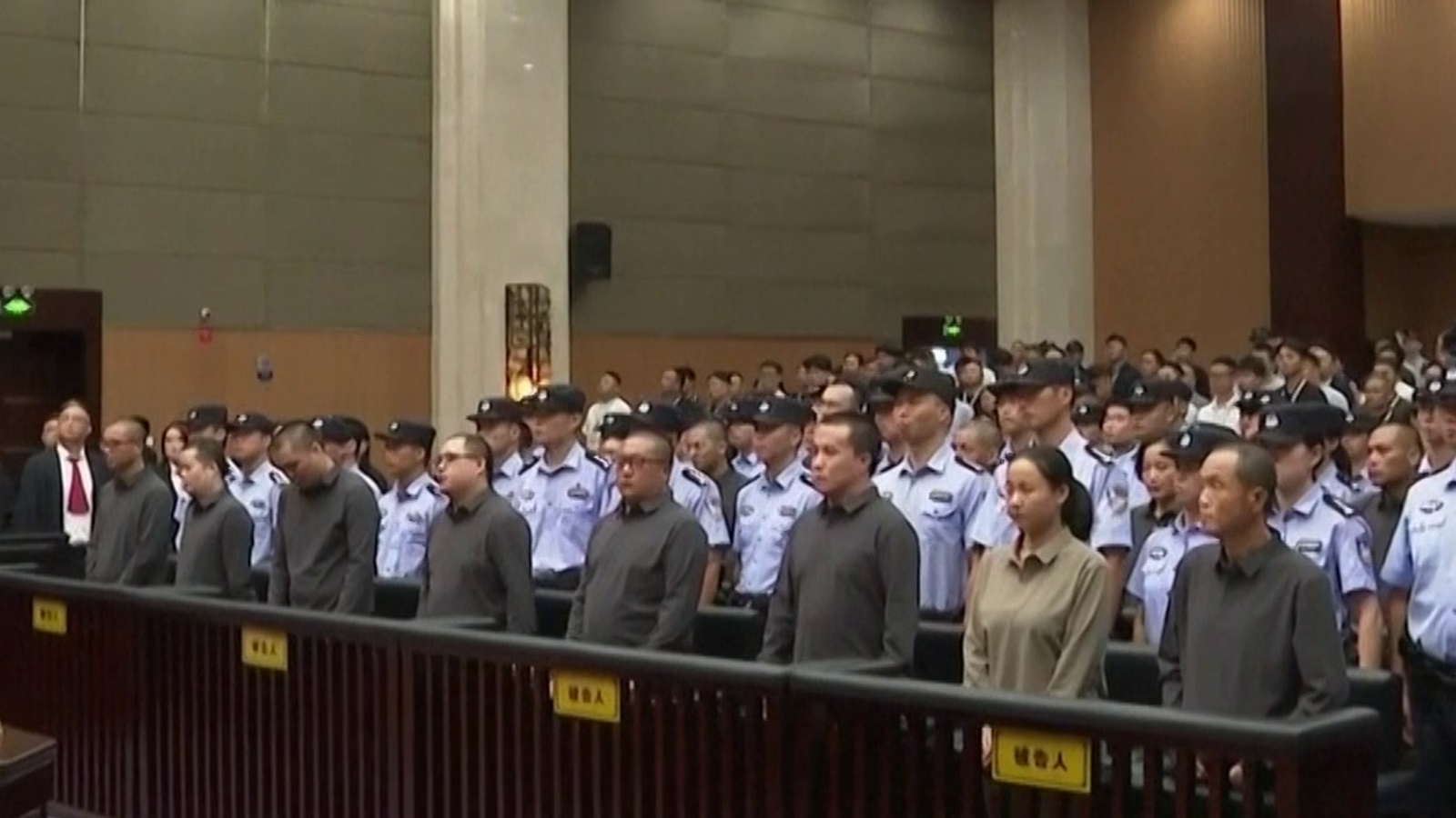 China executes 11 members of notorious mafia family