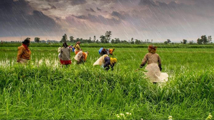 India missing out on big agriculture export opportunity, potential to ...