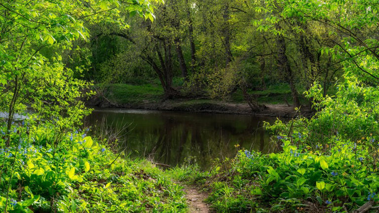 Ohio's 5 best hiking trails in and around Columbus for a scenic outdoor ...