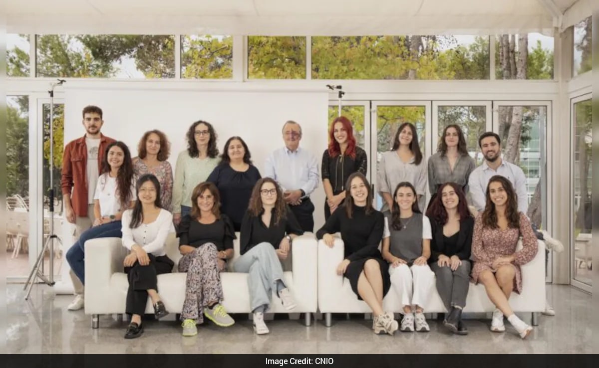 Scientists cure pancreatic cancer in mice without major side effects