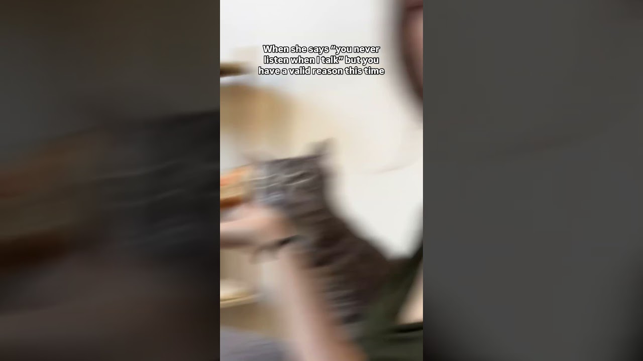 One cat ruins every serious conversation