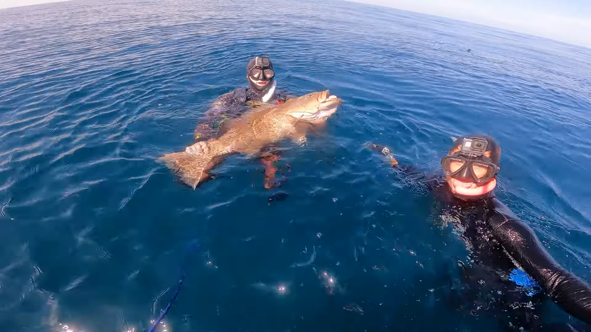 This might be the biggest fish we have ever speared in open water