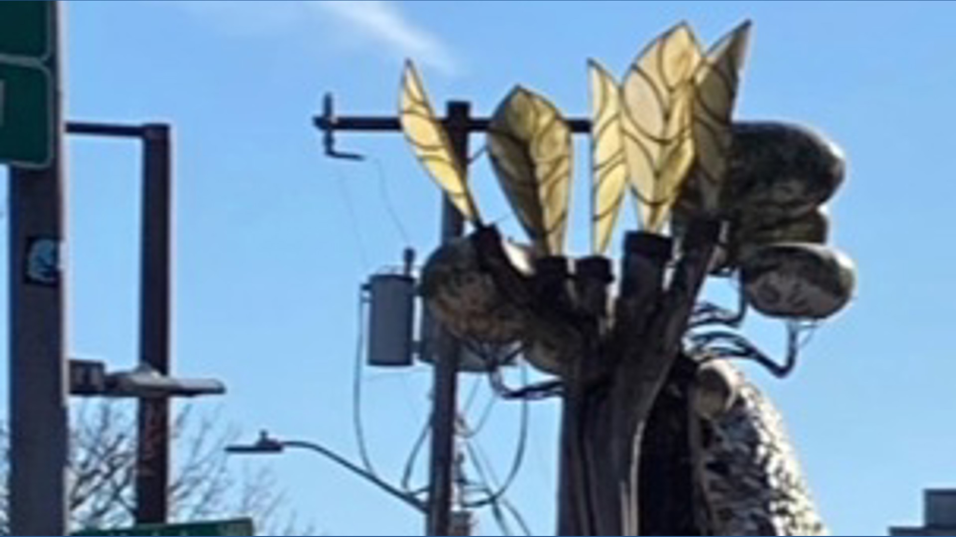 Man recovering after hit-and-run during Seattle protest