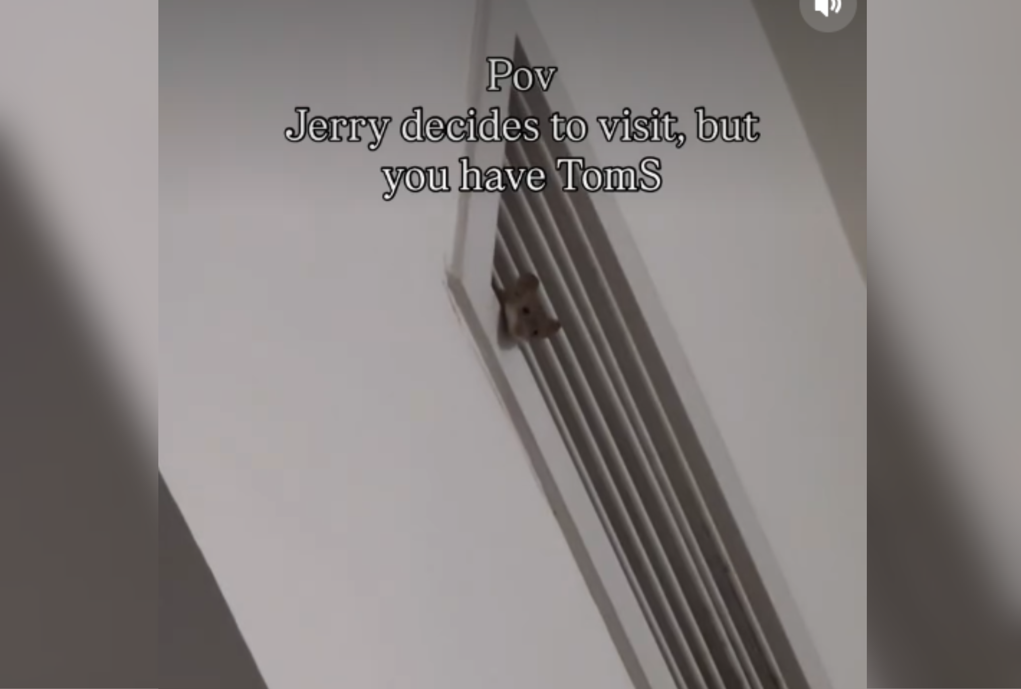 Mouse pays visit to woman's house, hysterics at what's waiting for it