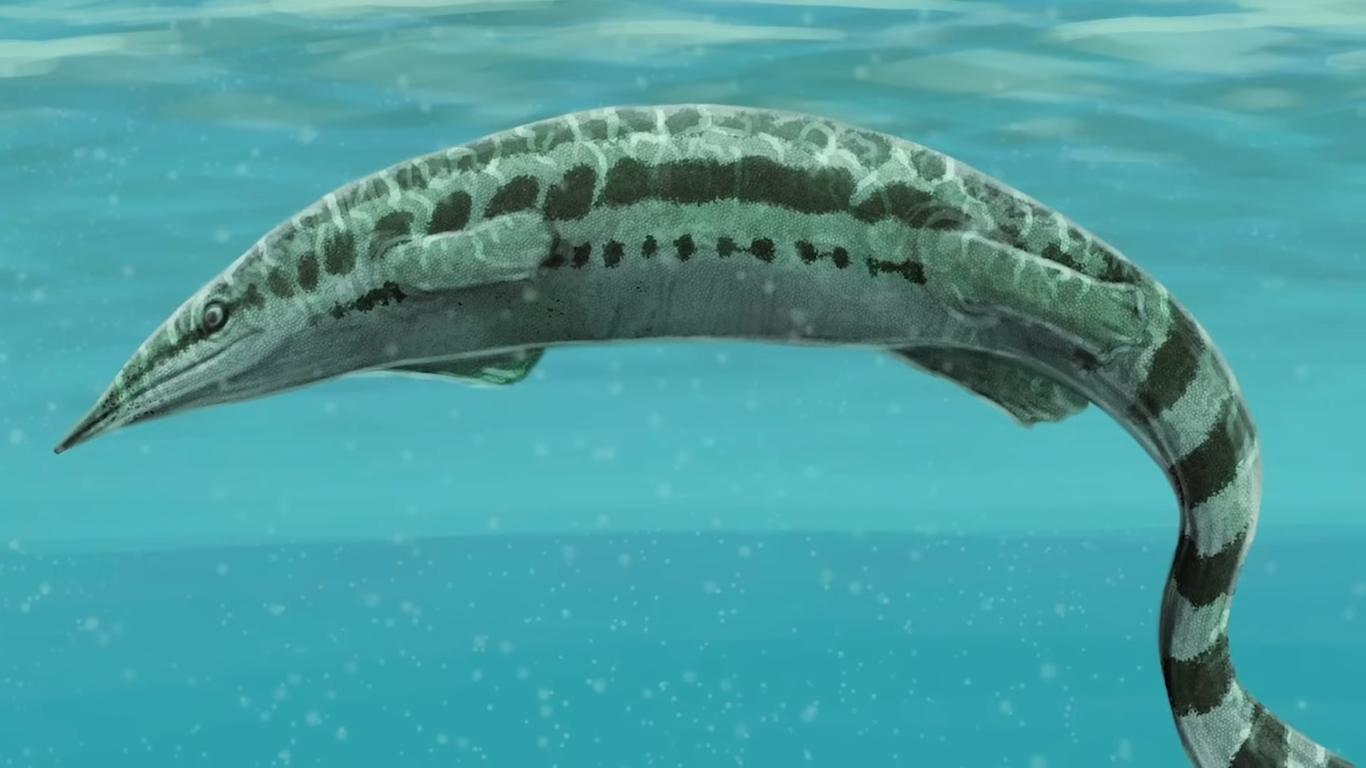 Ancient sea monsters of the Mesozoic - what fossils hint but can't confirm
