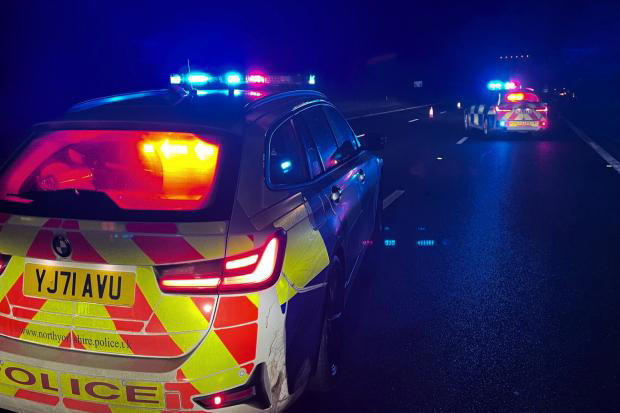 Woman in her 70s dies after car crashes into tree in North Yorkshire