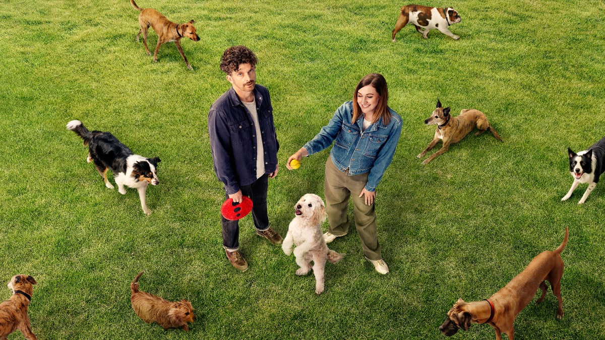 ABC iview: Best new shows & films streaming February 2026