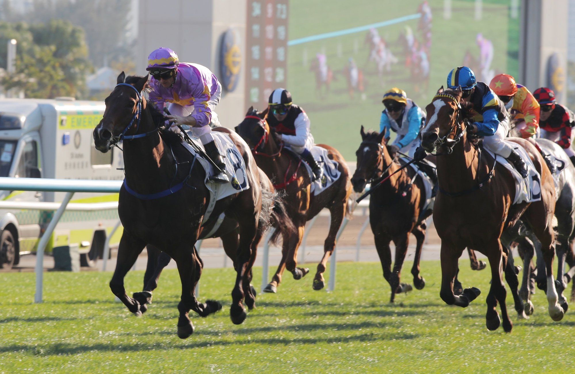 Mark Newnham mob-handed as he goes for back-to-back Classic Mile wins ...