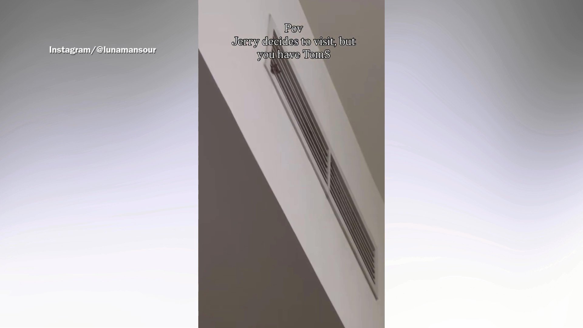 Mouse pays visit to woman’s house, hysterics at what’s waiting for it