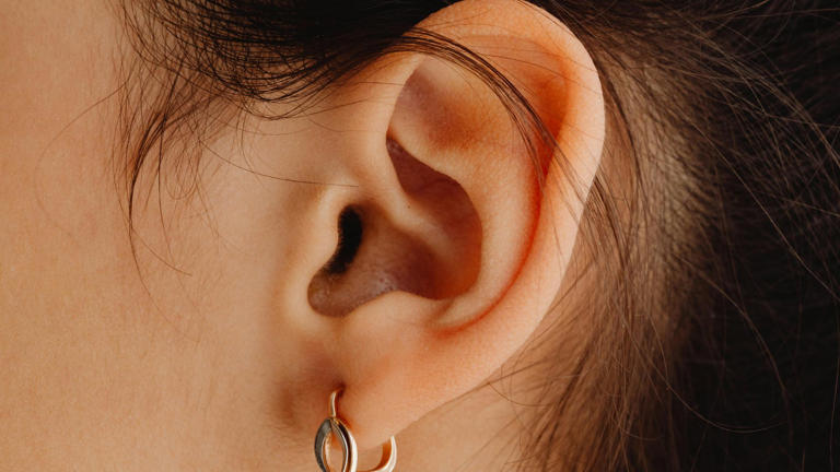 Humans have weaker ear muscles than chimps—yet some humans are still ...