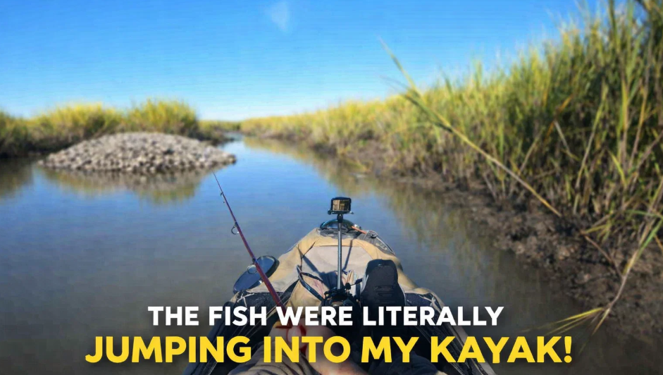 The fish were literally jumping into my kayak!