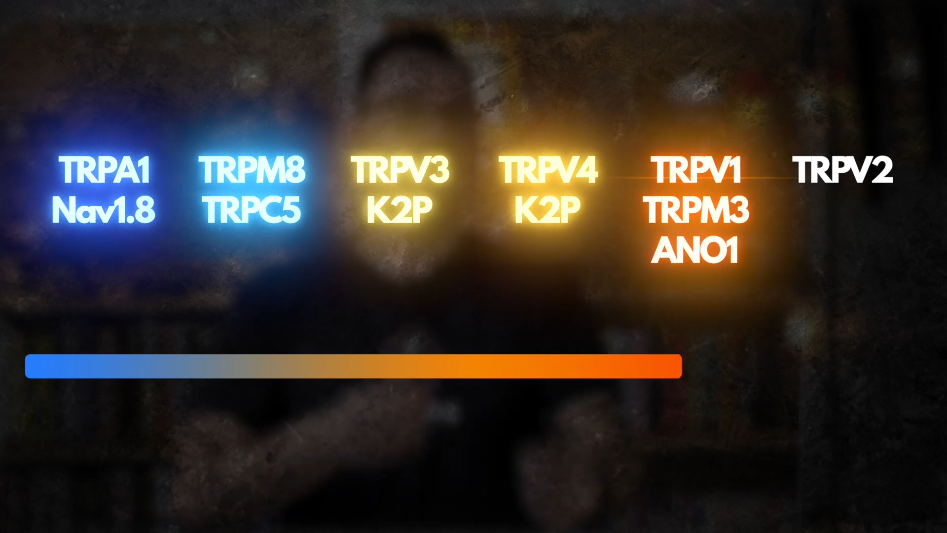 How does your body know what temperature to make a fever?
