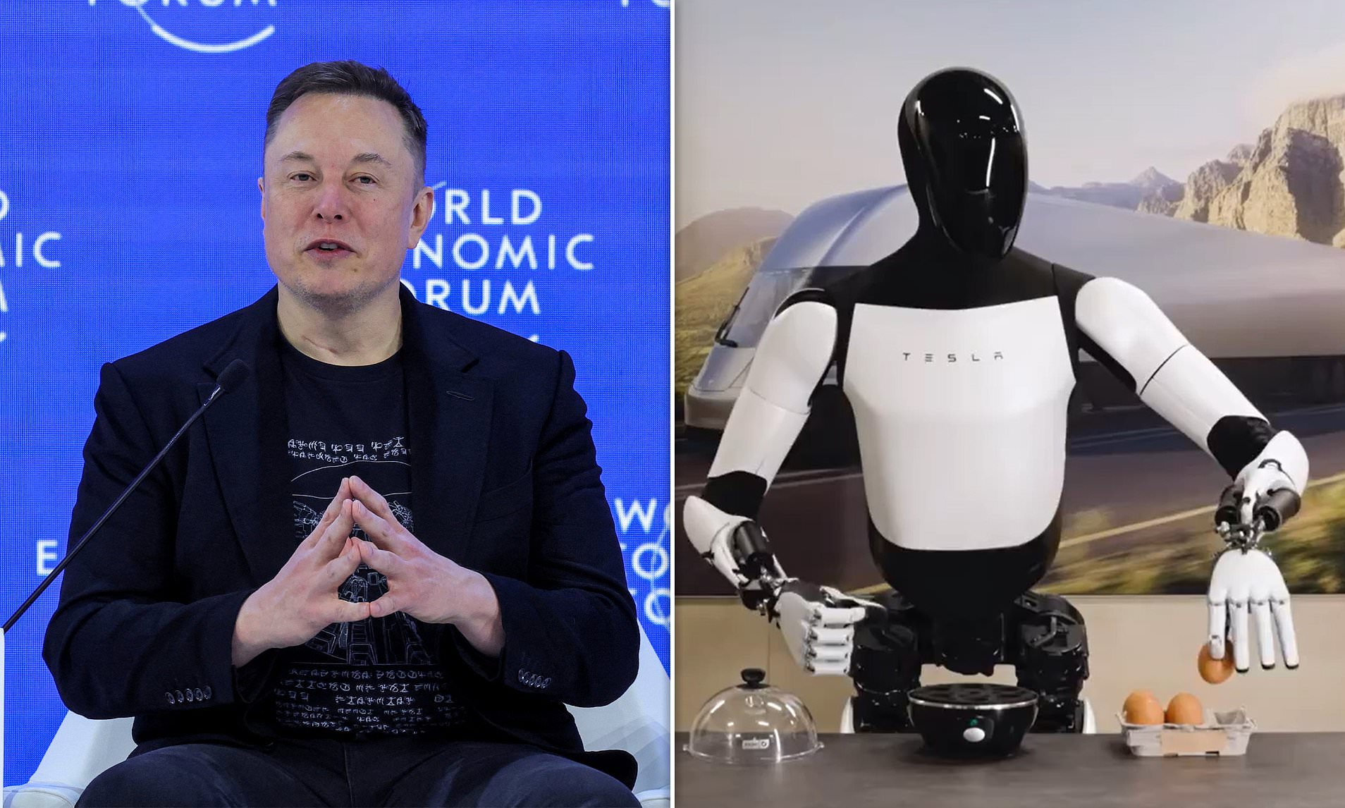 Tesla's annual revenue falls for first time ever as Elon Musk axes ...