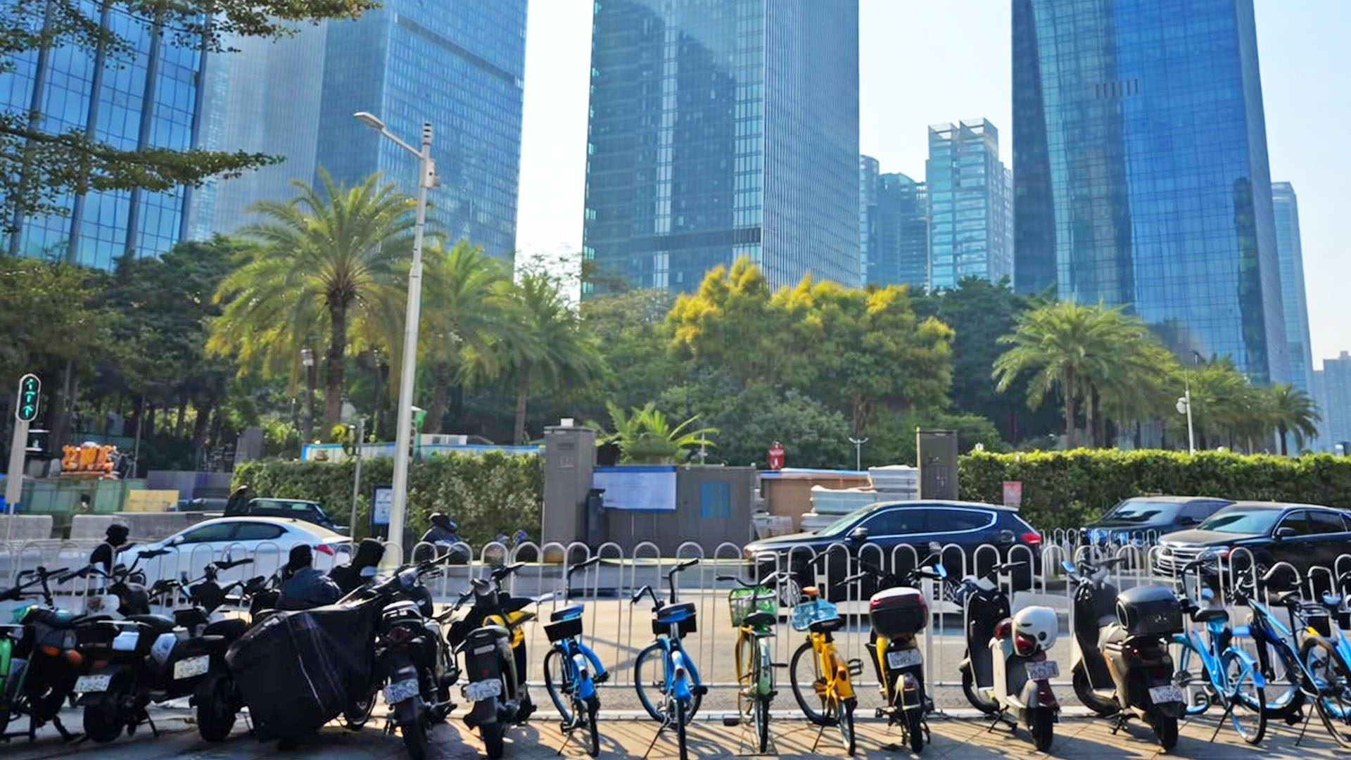 Green spaces and transport in China’s city