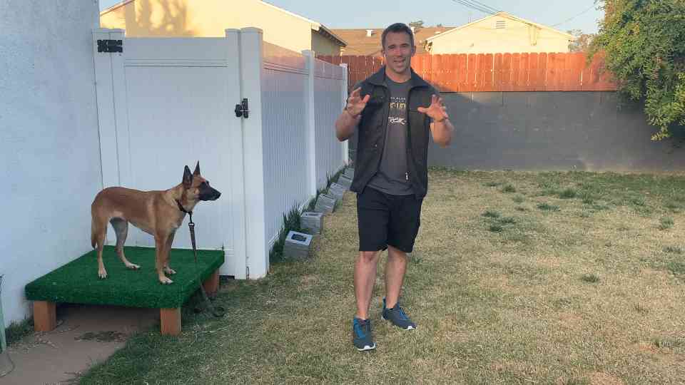 Why your dog won’t indicate the odor - the mistake most handlers make