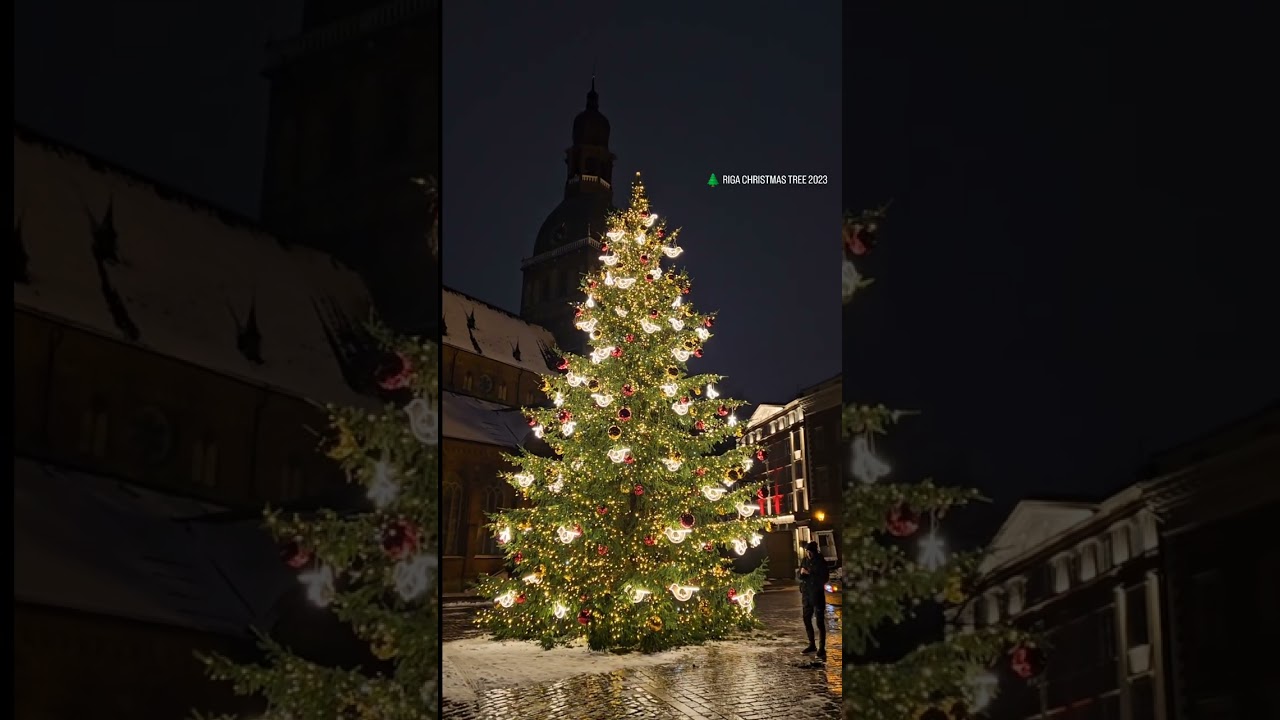 Marvel at Riga, Latvia’s dazzling Christmas tree in the snow