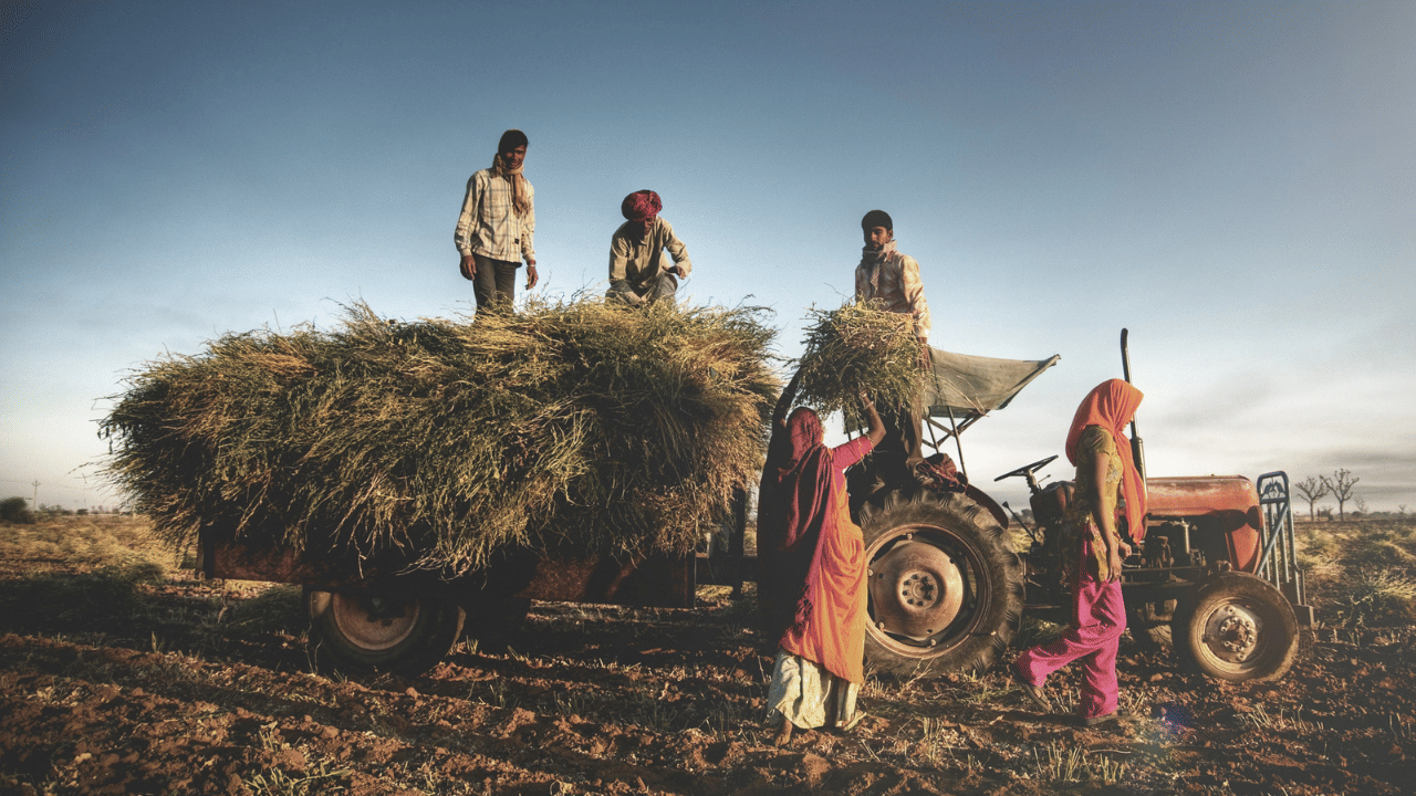 Economic survey 2026: Navigating Indian agriculture growth ...