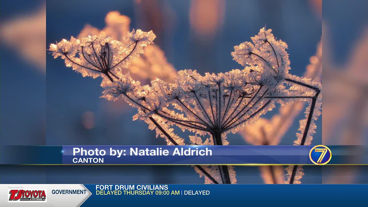 Send it to 7 pics of the week