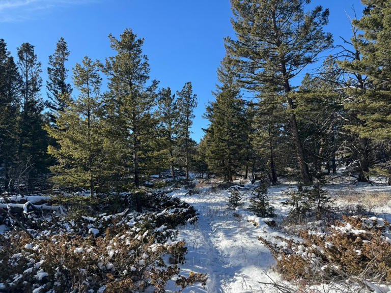 With one Laramie race, deep snow and strong winds are the point