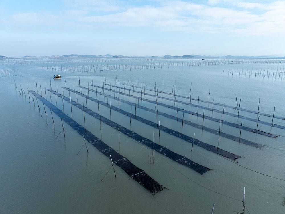 전남도, 1천849억 들여 수산업 경쟁력 강화