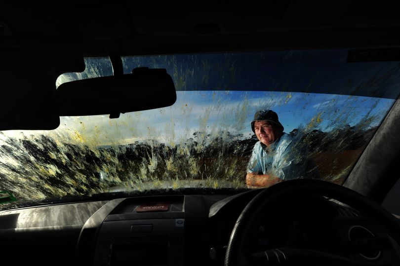 Doctor warns vanishing bugs spell 'chaos and death' for human race in ...