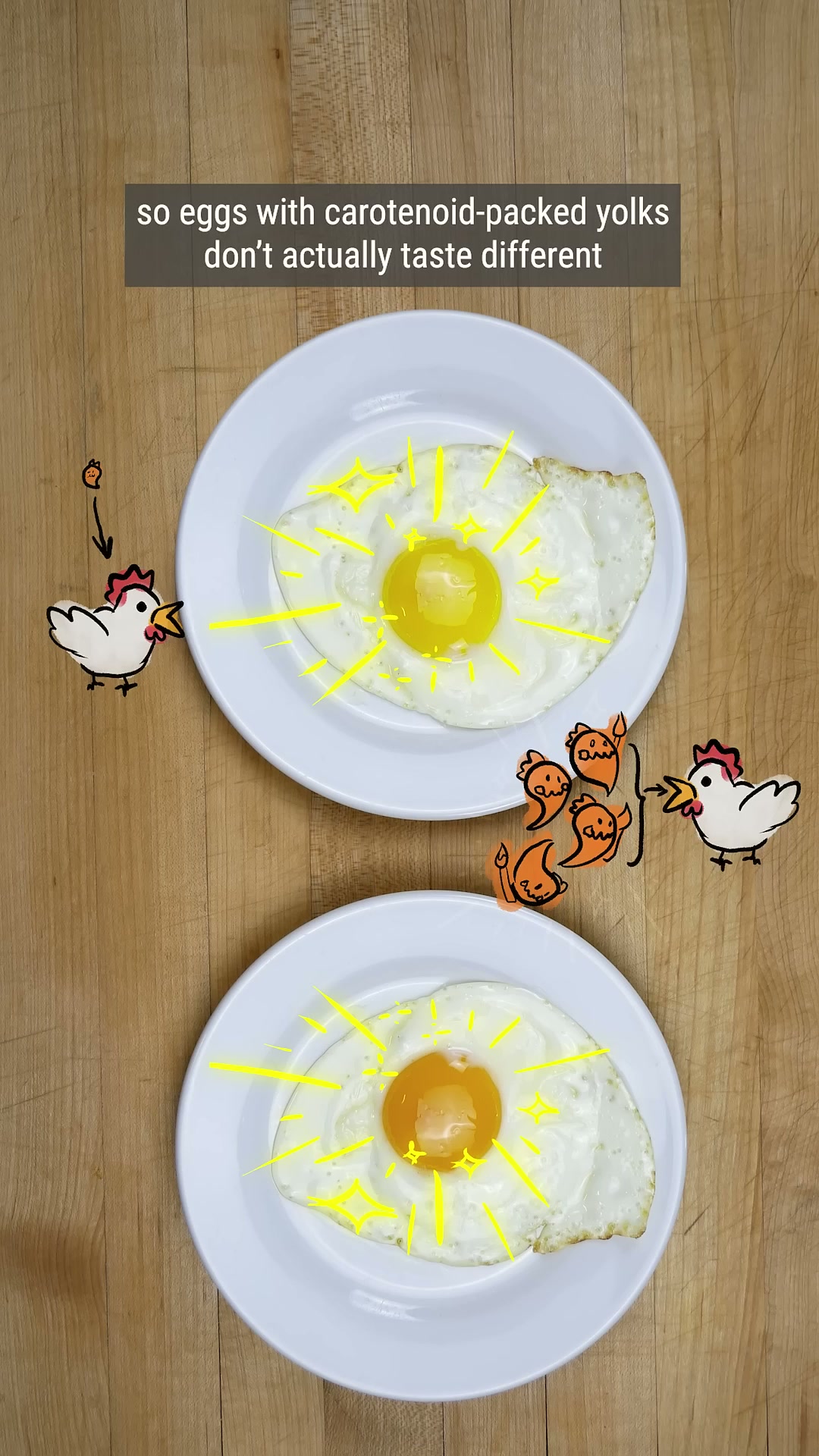 The truth about egg yolk color