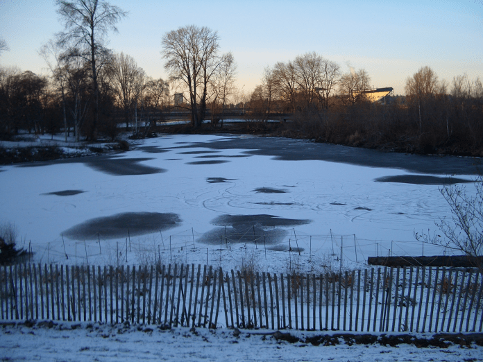 A frozen pond looked safe until three Texas brothers slipped under the ice