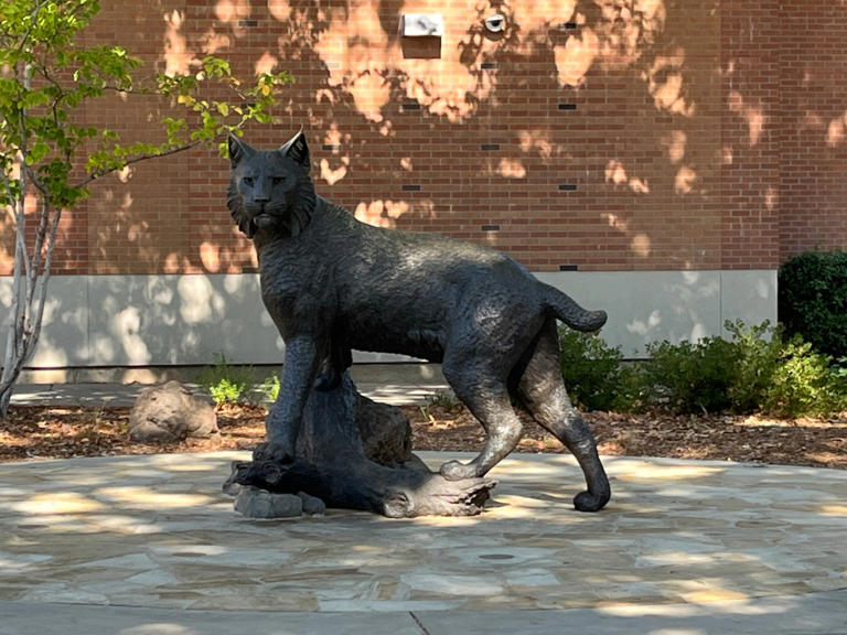 Chico State ranks among best for online programs in 2026