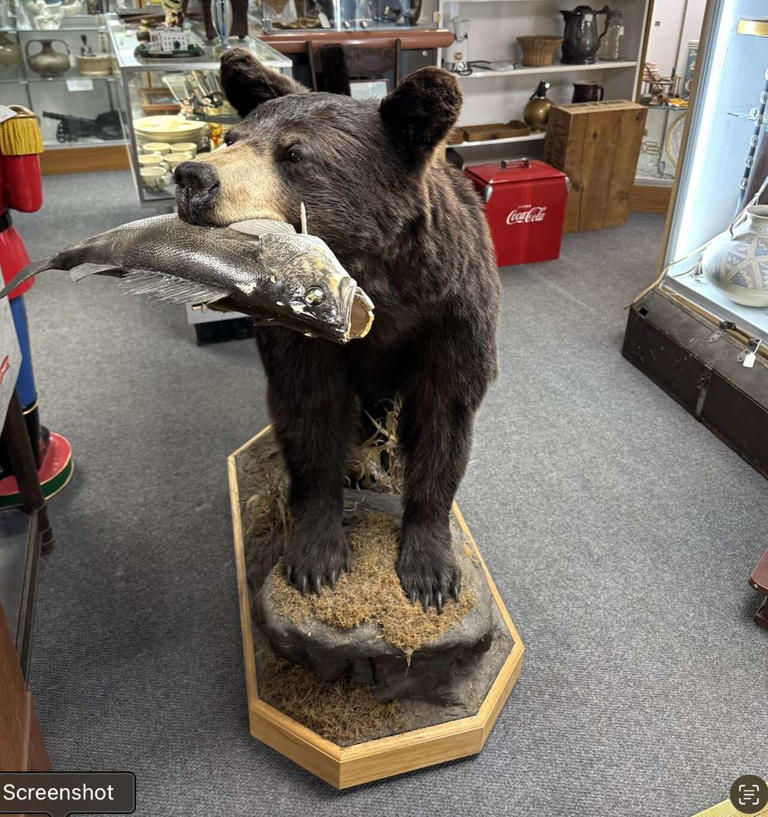 Samurai armor, life-size Chucky, coffins: Here are the weirdest uShip ...