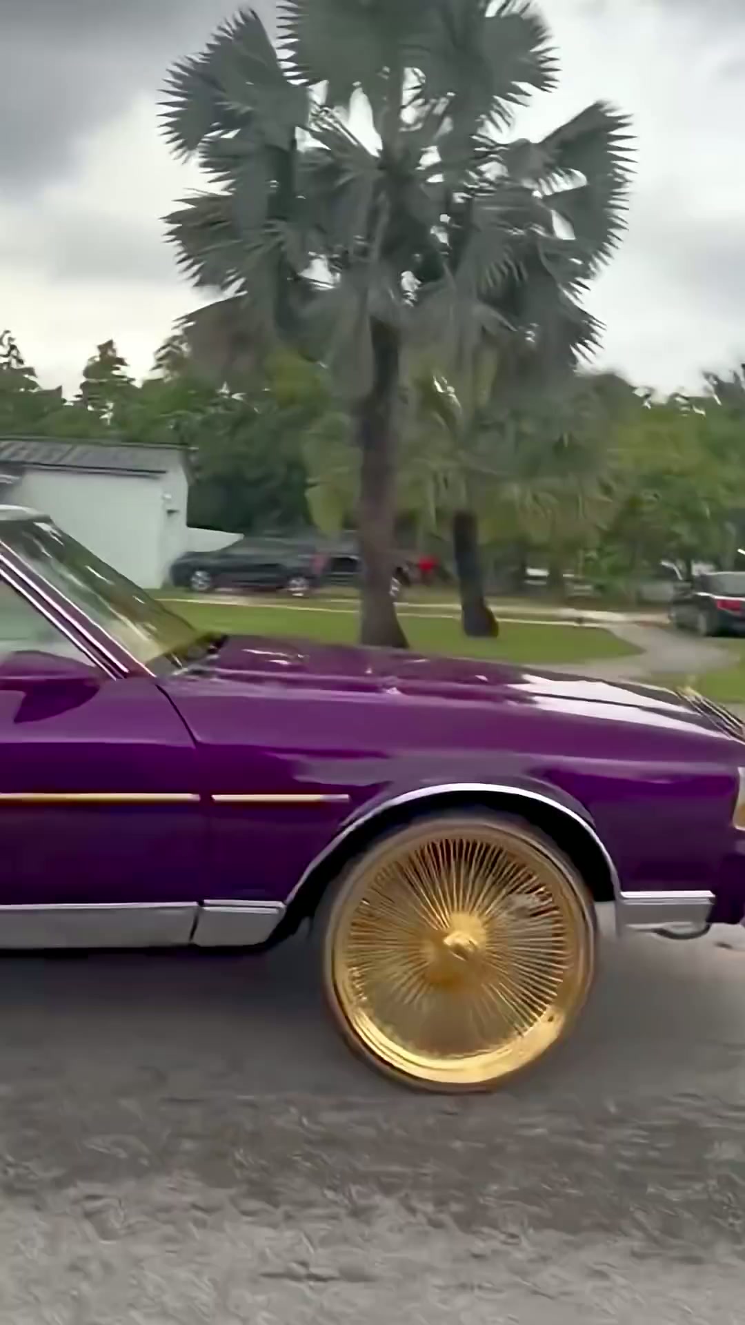 Miami-built Chevy box on gold 24’s Daytons now belongs to Dallas TX ...