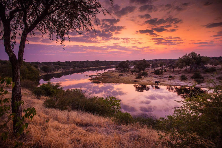Prince Harry pens foreword to new National Geographic book “Okavango ...