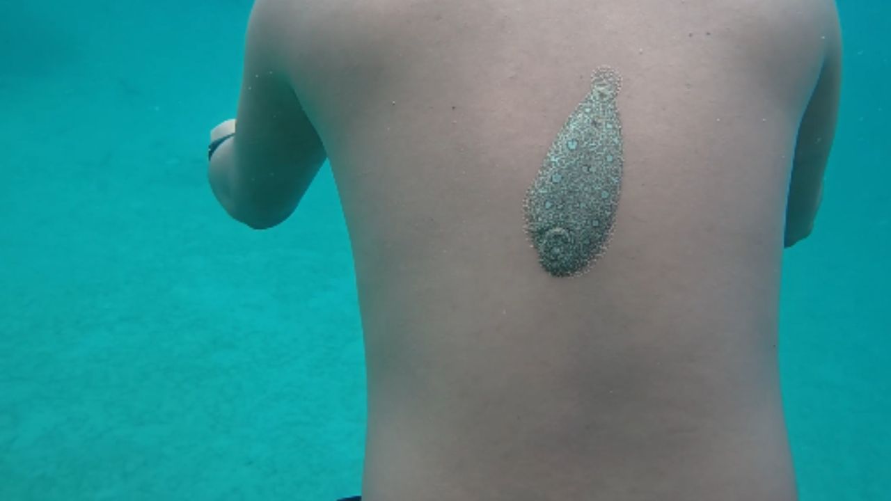 Diver becomes floating spot for fish and has to shoo them