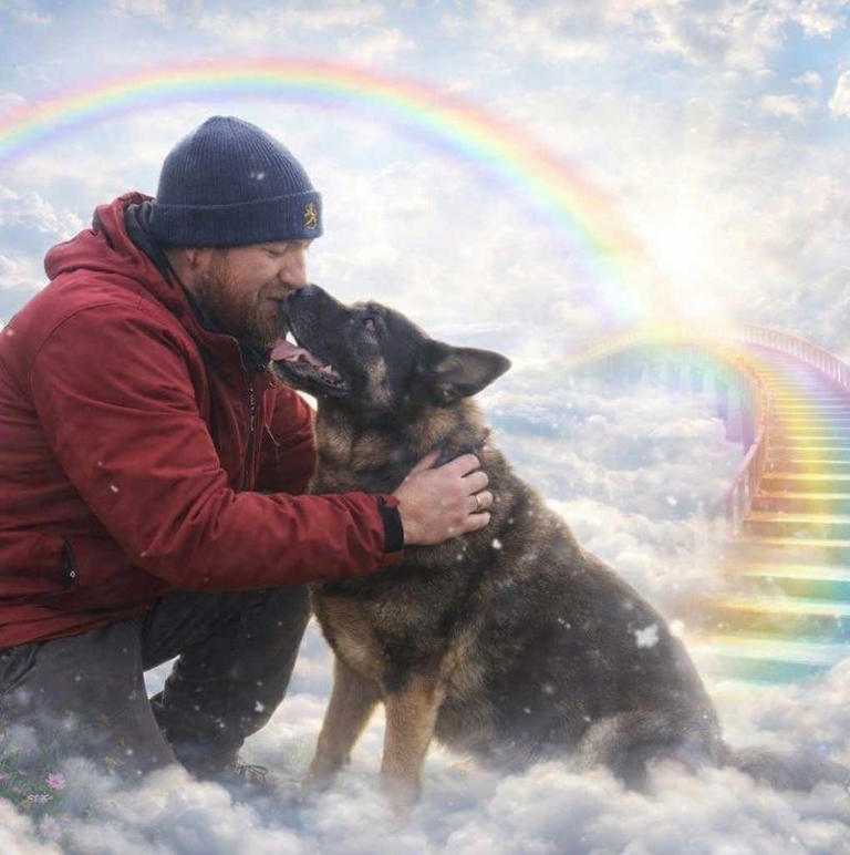 The family of missing hiker Chris Palmer shares a sad update about his ...