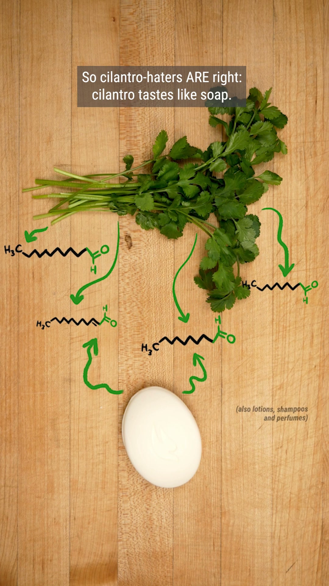 Why does cilantro taste like soap to some people?